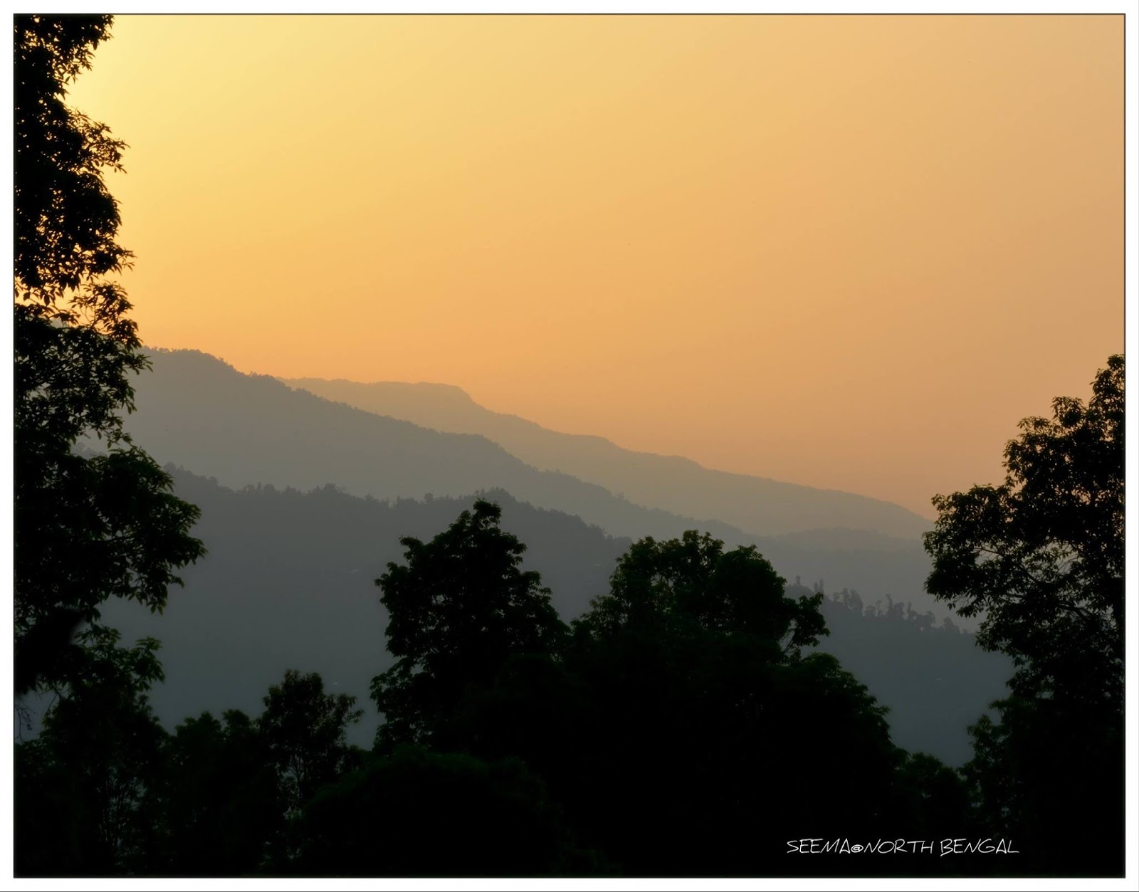 HOME STAY AT RONGO DALGAON: TOUR HIGHLIGHT