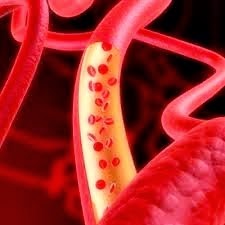 BIOFISICA : VISCOSIDAD SANGUÍNEA