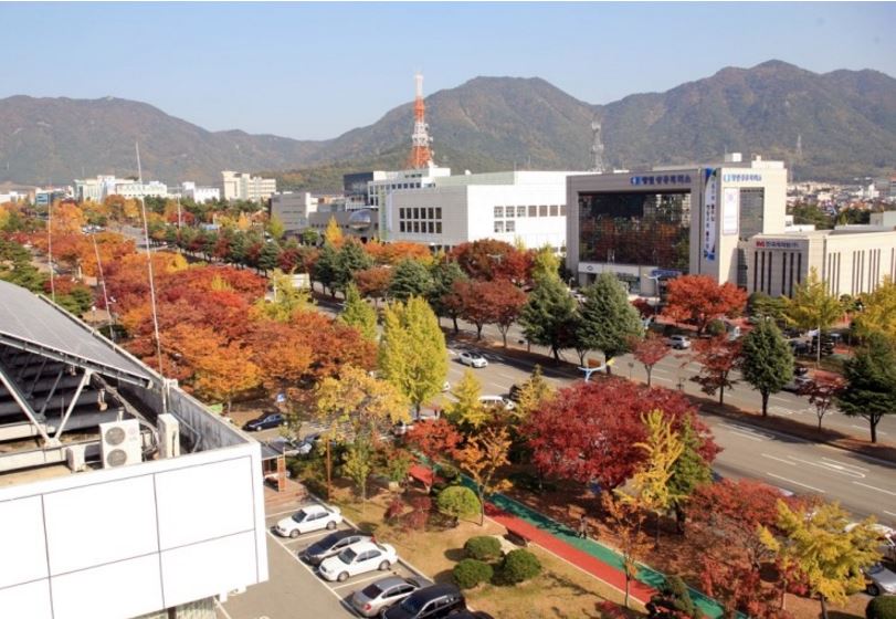 Travel Korea - Gyeongnam: Changwon Fall Foliage Street Festival