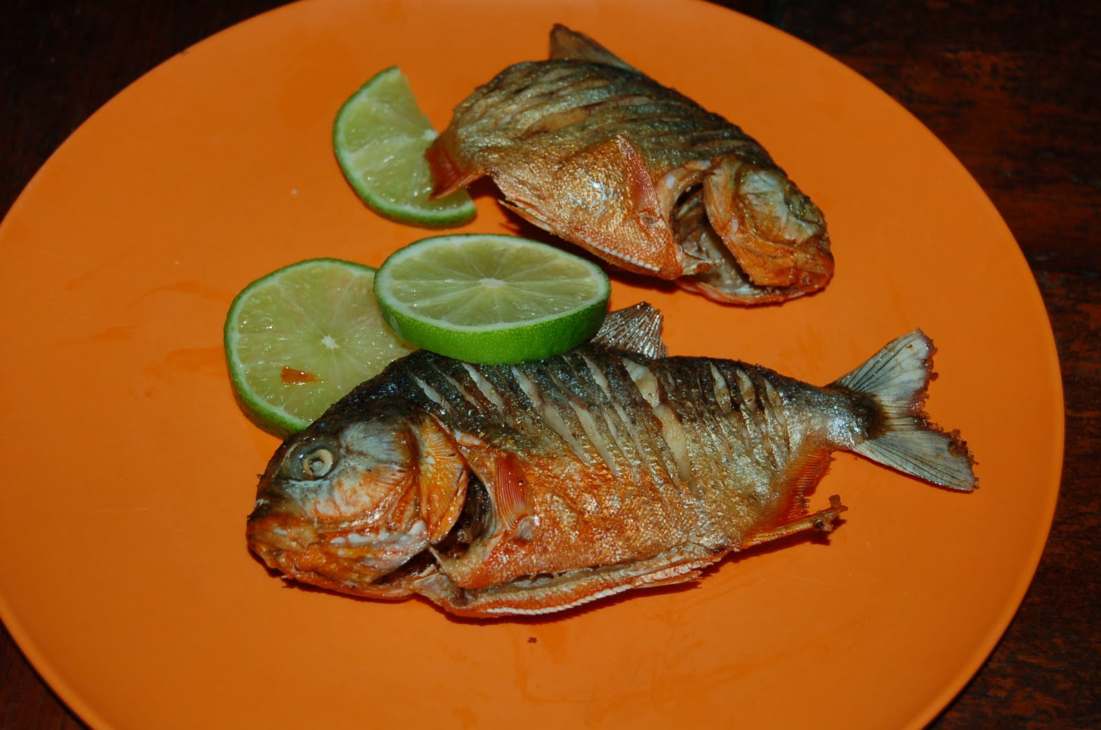 CONSERVACION PRIVADA: ALGUNAS ESPECIES DE PECES EN EL AREA DE SELVA ...