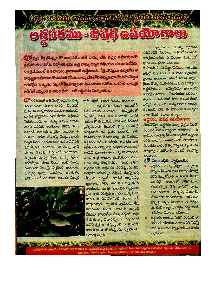 AYURVEDAM - ఆయుర్వేదం: ADDASARAM - AYURVEDAM