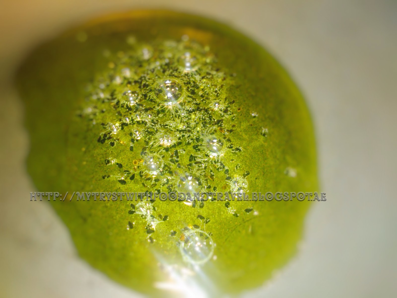 My Tryst With Food And Travel: Shorshe Dharosh Recipe | Sarson Wali ...