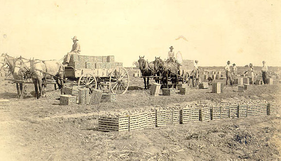 On An Underwood No. 5: REH and Callahan County by Damon C. Sasser