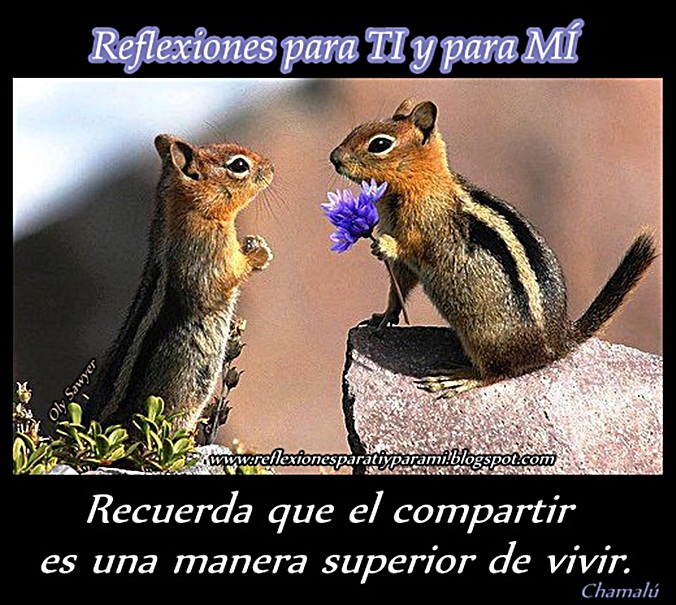 Reflexiones para TI y para MÍ: * Recuerda que el compartir es una ...