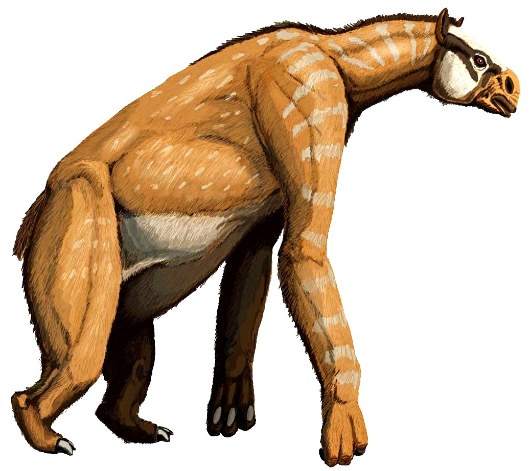 ShukerNature: WHEN NANDI BEARS AND GROUND SLOTHS CAME TO TOWN? TWO ...