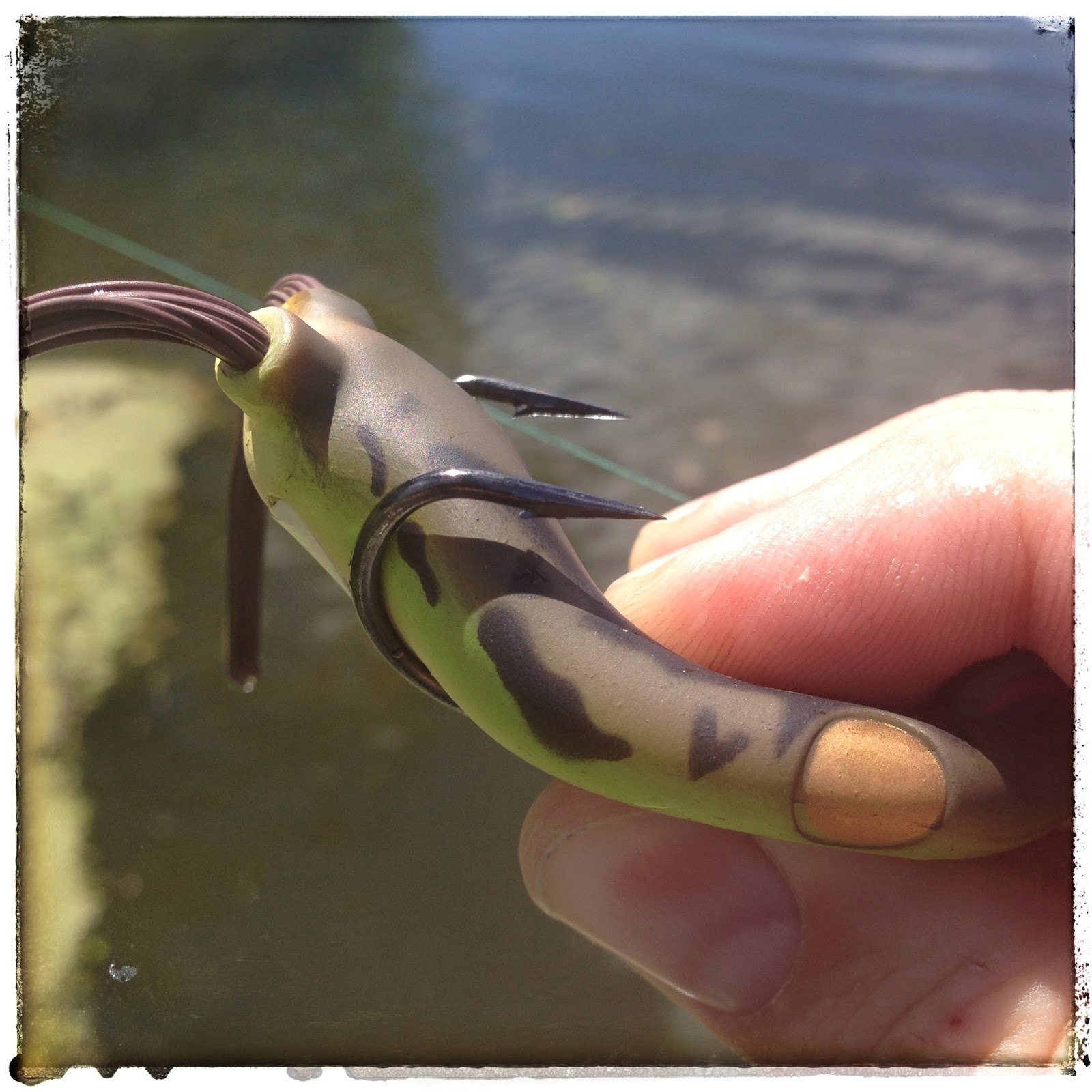 Bass Junkies Frog Pond: Terminator Walking Frog Review