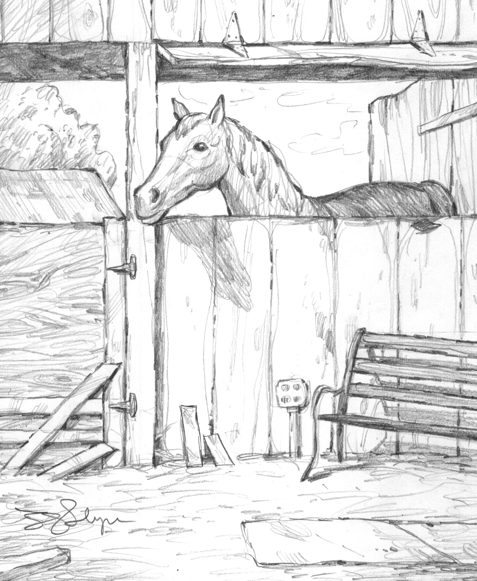 Lester's drawing a day