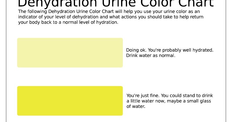 taufanyanuar: Dehydration Urine Color Chart