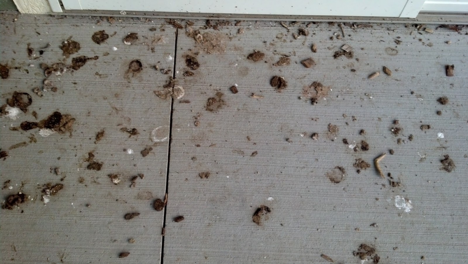 Running A-Fowl: For Me To Poop On