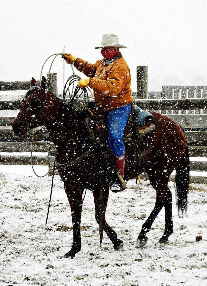 Wicked Women of the West: Raising What Ranchers Ride