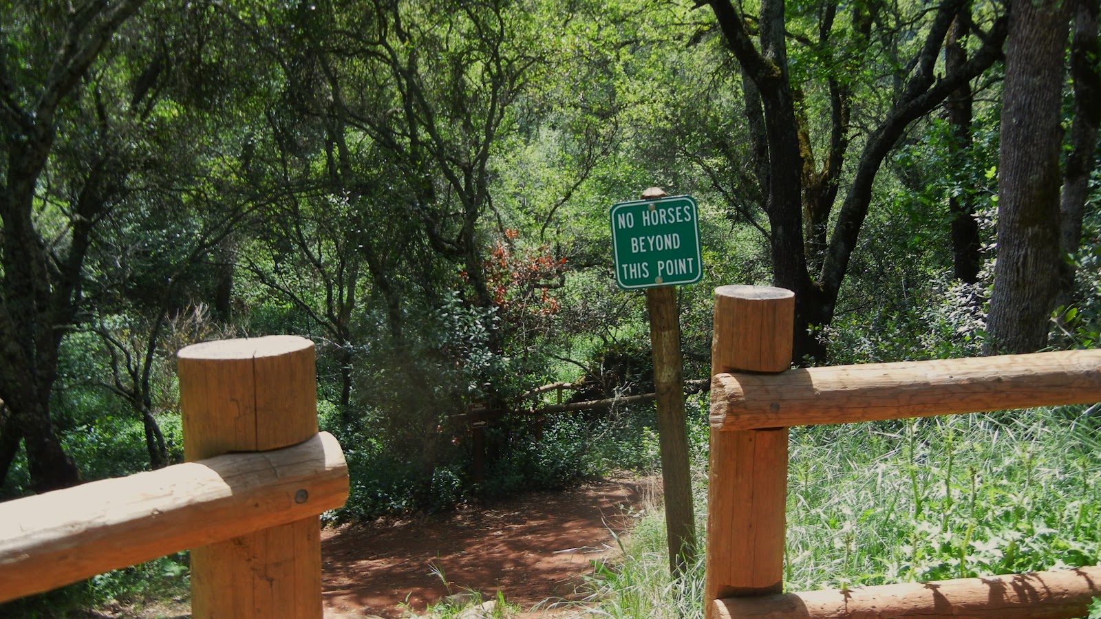 Peachy Hiker: Hidden Falls in Placer County, CA