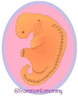 1º mês de gravidez - From Mom to Mommy