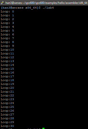 Lab4 - Assembly in x86_64 and aarch64