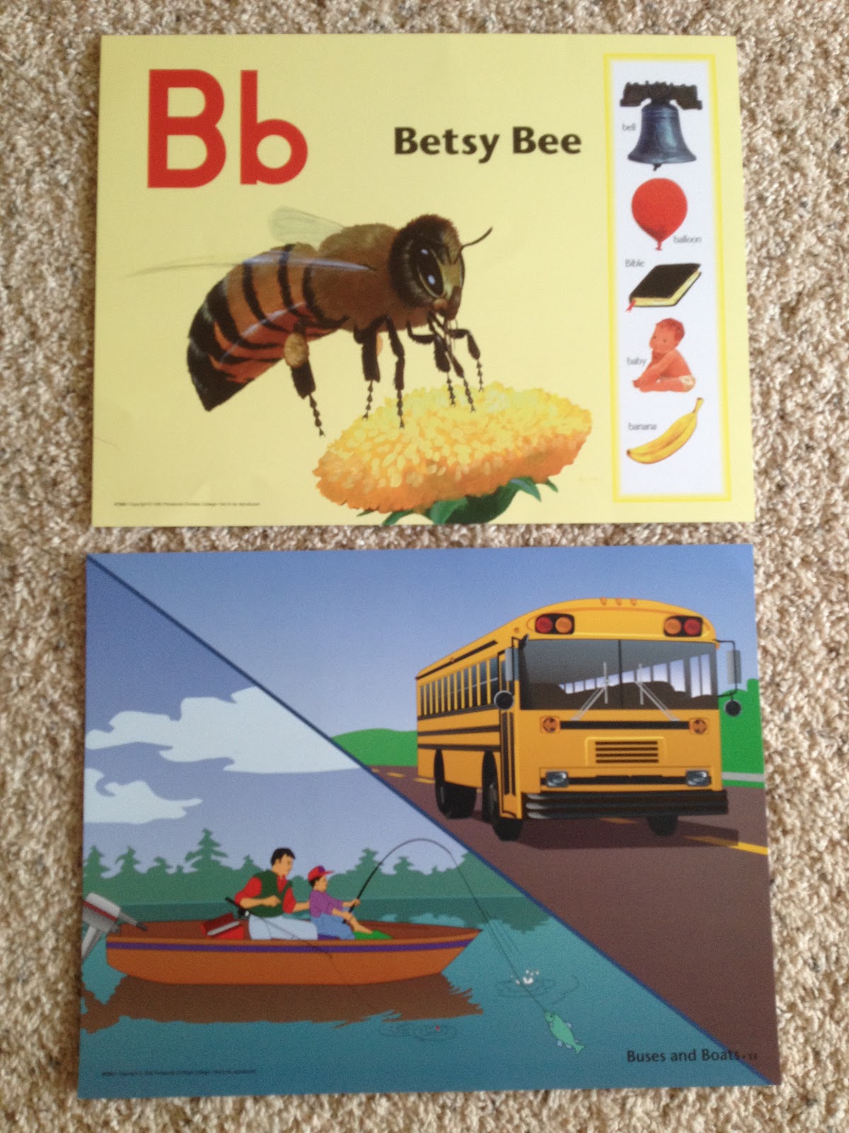 30 Abeka Animal Alphabet Friends Flashcards | Ricordilu