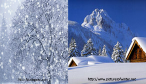 Mengenal salju ~ Science Area