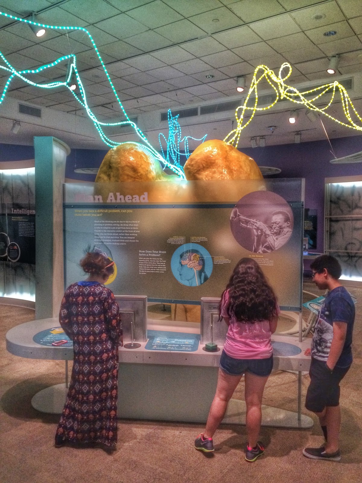 Brain: The Inside Story On View at the Fernbank Museum of Natural ...
