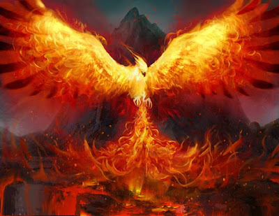 Il blog delle meraviglie: La Fenice