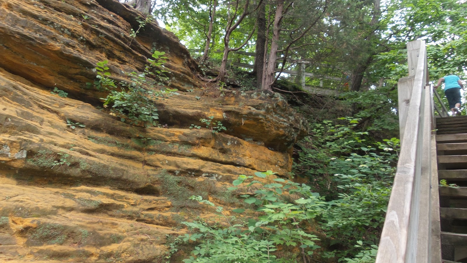 Hike Starved Rock: St. Louis, Sac, Kickapoo and Aurora Canyons 07-07-2016