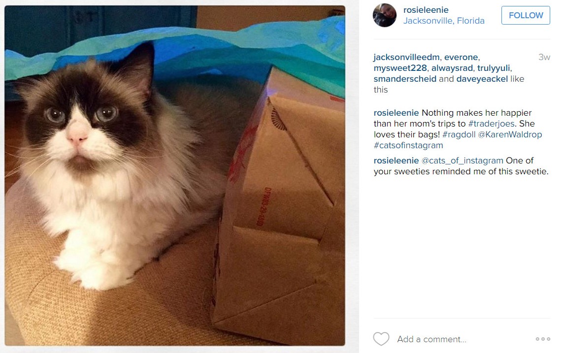 Exploring Trader Joe's: Roundup