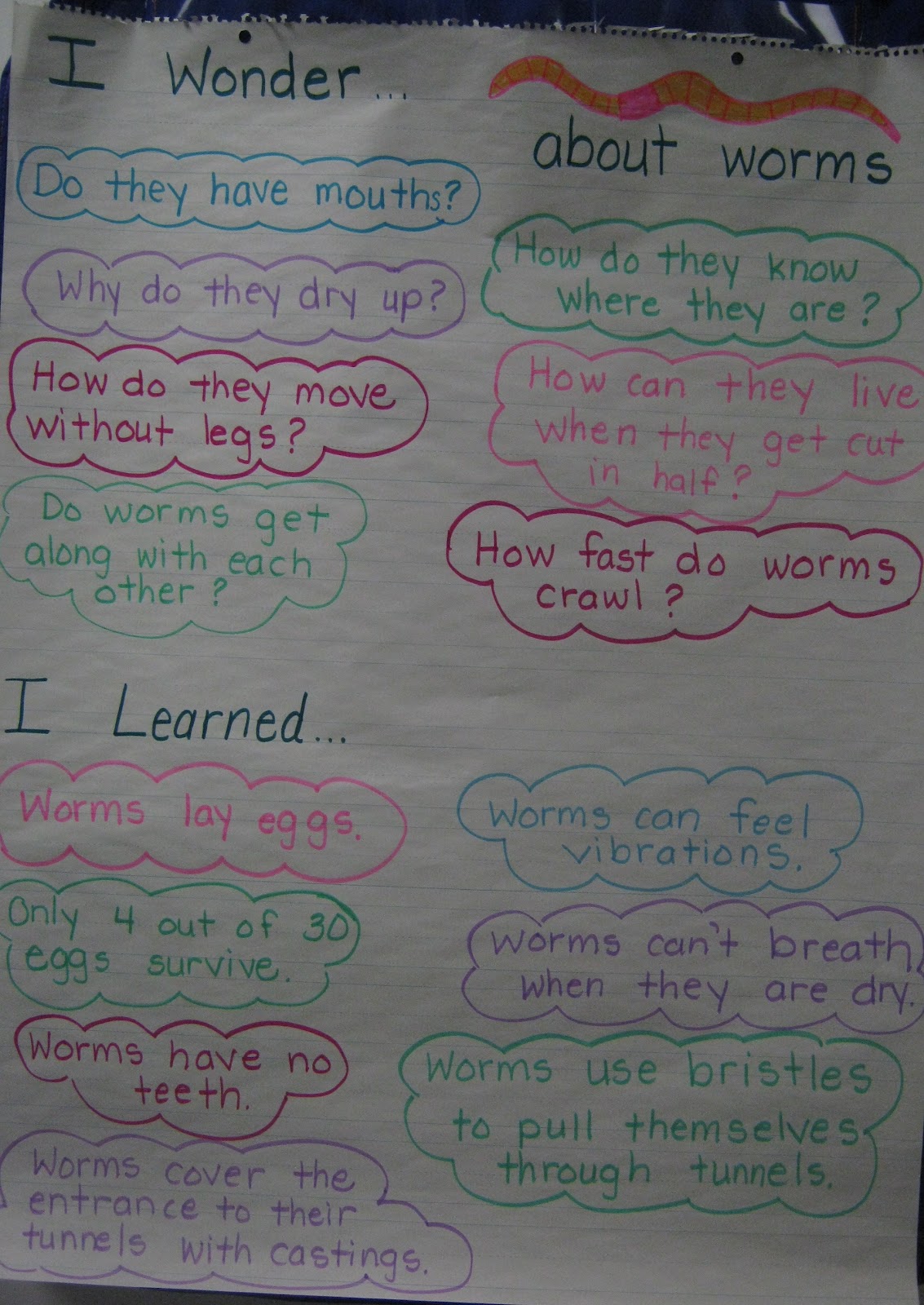 Exploring Second Grade