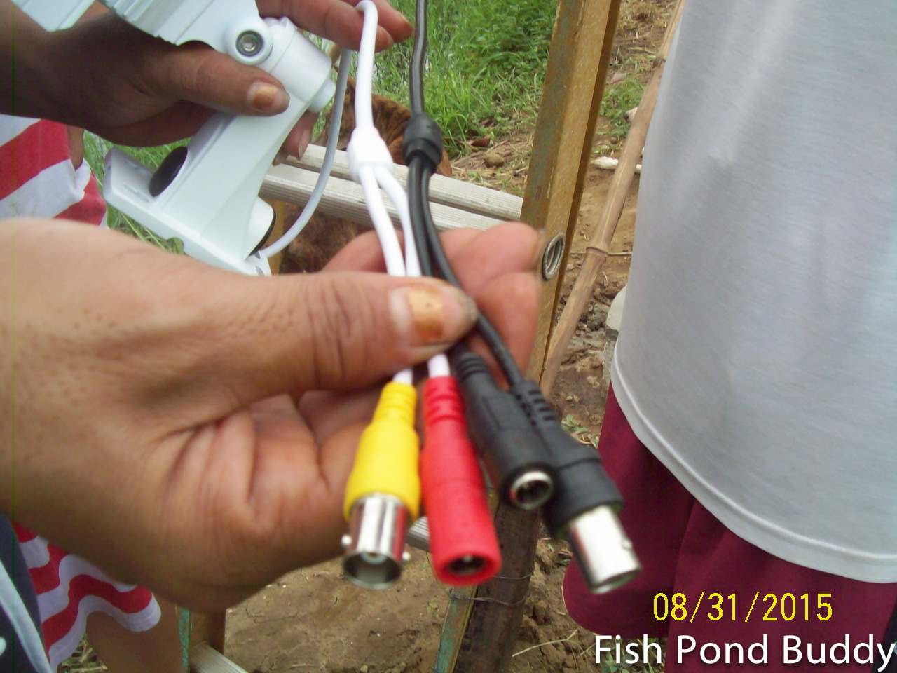 Fish Pond Buddy: How to Install a CCTV System for the Fish Farm - Part 2