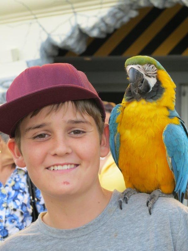 Our trip to Disney World