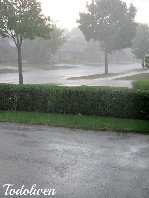 Todolwen: It Rained At Last