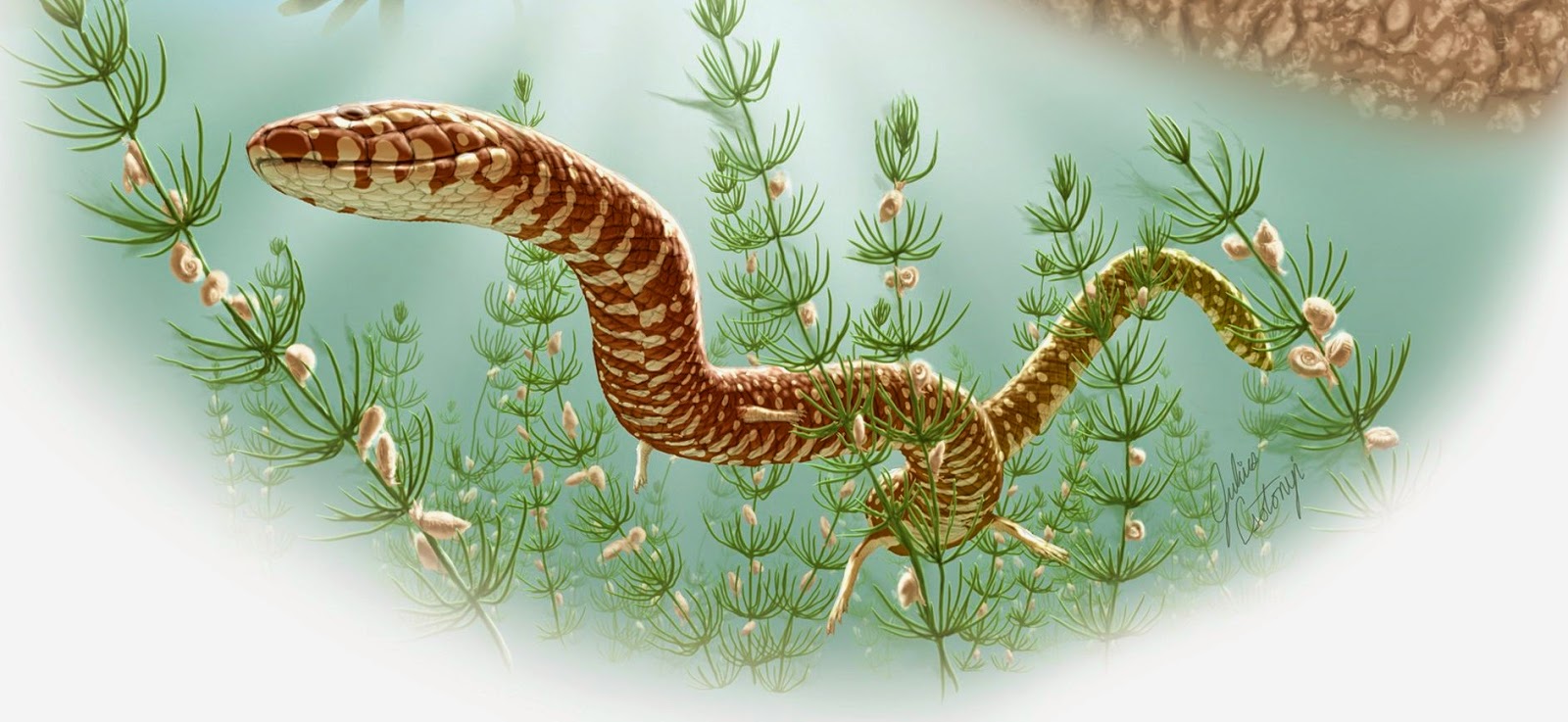 Species New to Science: [Paleontology • 2015] The Oldest Known Snakes ...