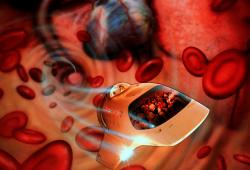 Theme Park Nostalgia: The Wonders of Life Pavilion October 19, 1989 ...