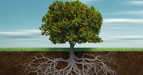 Bible Studies and Devotionals for Men: God's Tree of Life