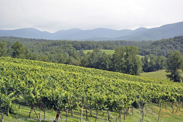 My Carolina Kitchen: Monday Musings – a visit to north Georgia wine country
