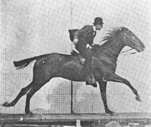Amazing Eadweard Muybridge's Motion Photographs in the 19th Century ... Amazing Eadweard Muybridge's Motion Photographs in the 19th Century ...