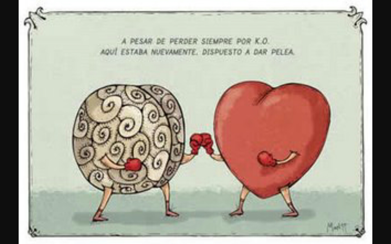 LA FE ES LA RAZÓN DEL CONOCIMIENTO: LAS RAMAS DE LA FILOSOFÍA