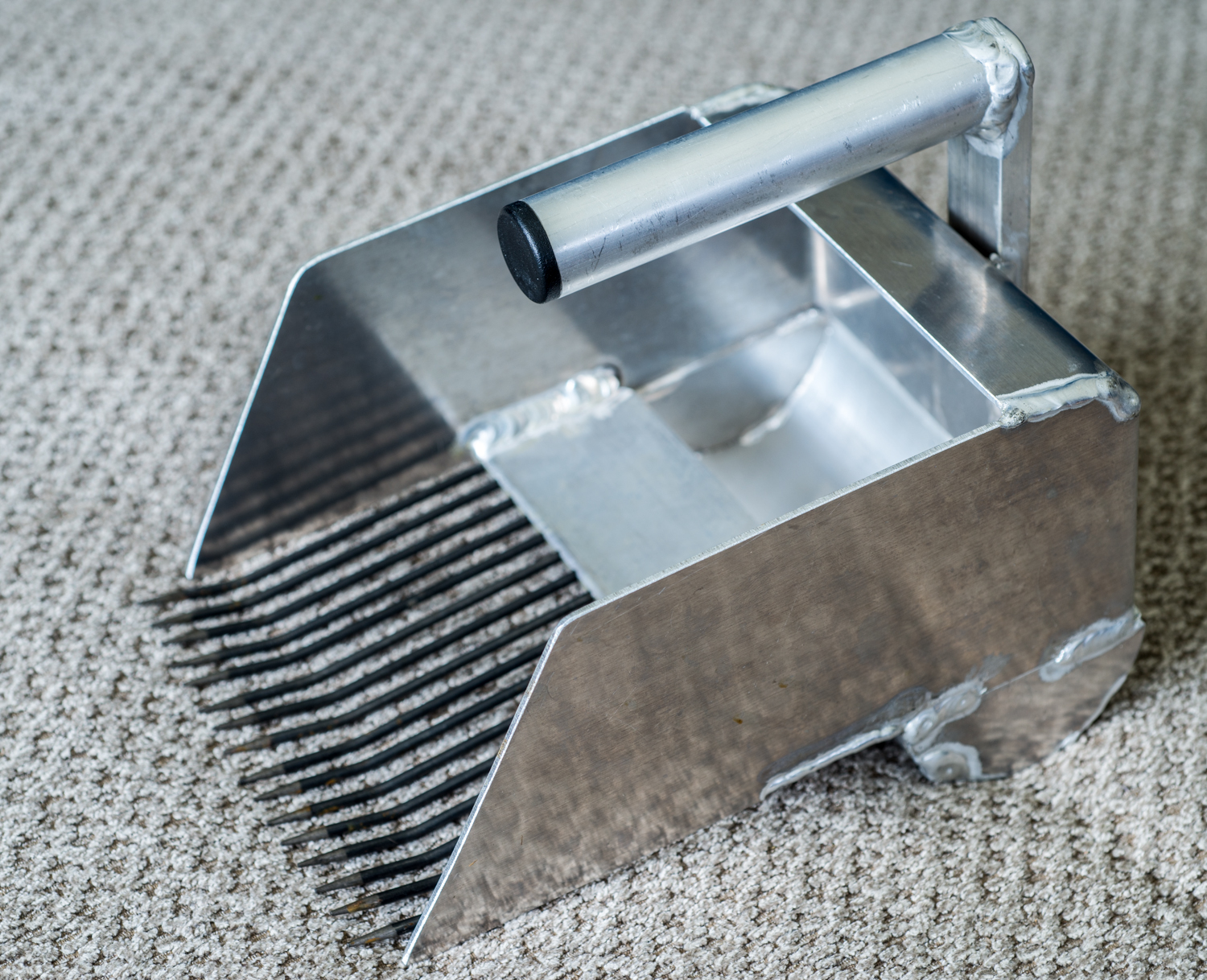 The 3 Foragers: Foraging for Wild, Natural, Organic Food: Wild ...