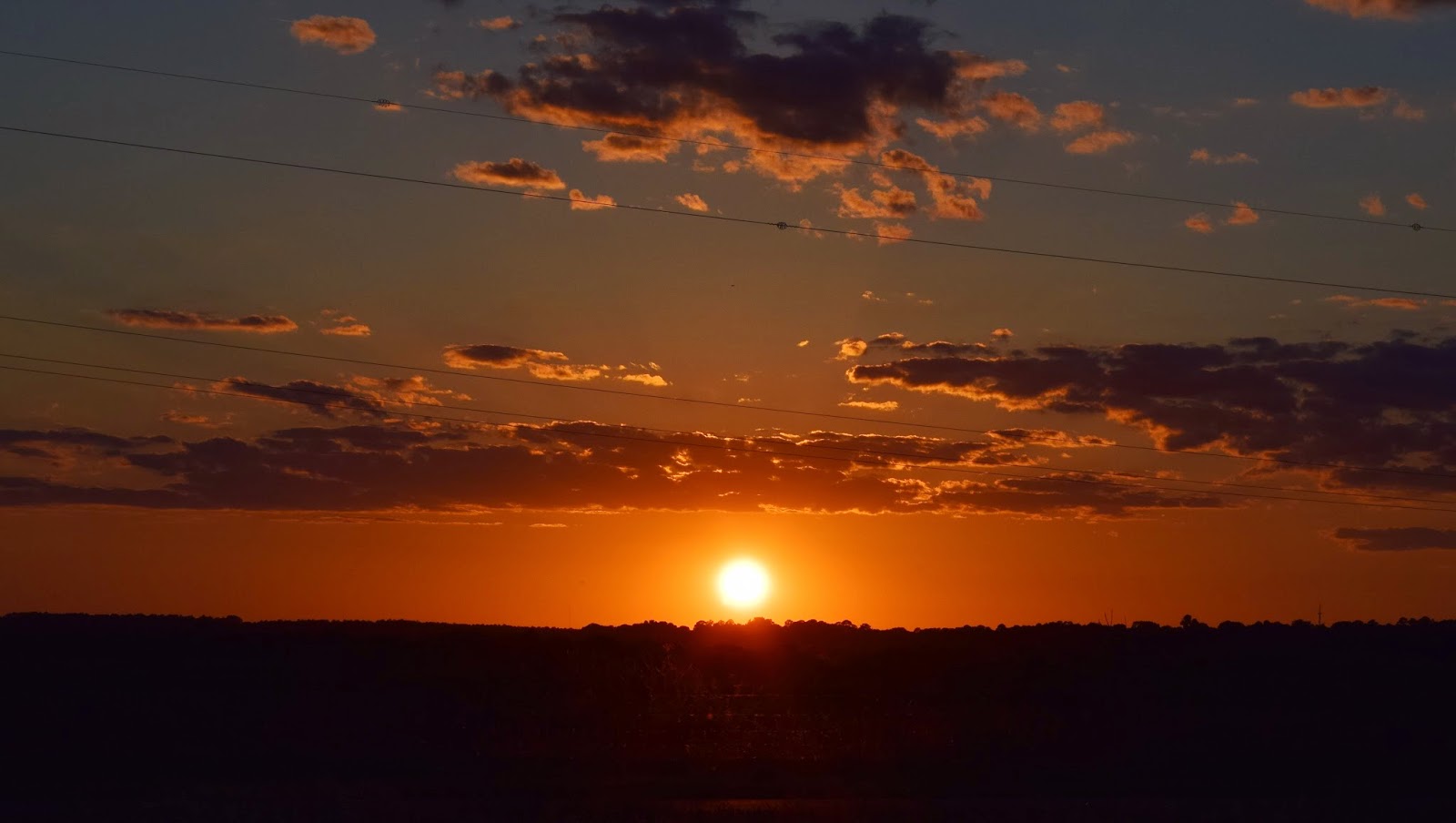 HappiLeeRVing: Paynes Prairie at Sunset