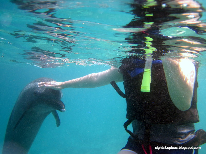 Sights and Spices: Sights: A Dream Come True in MISAMIS OCCIDENTAL