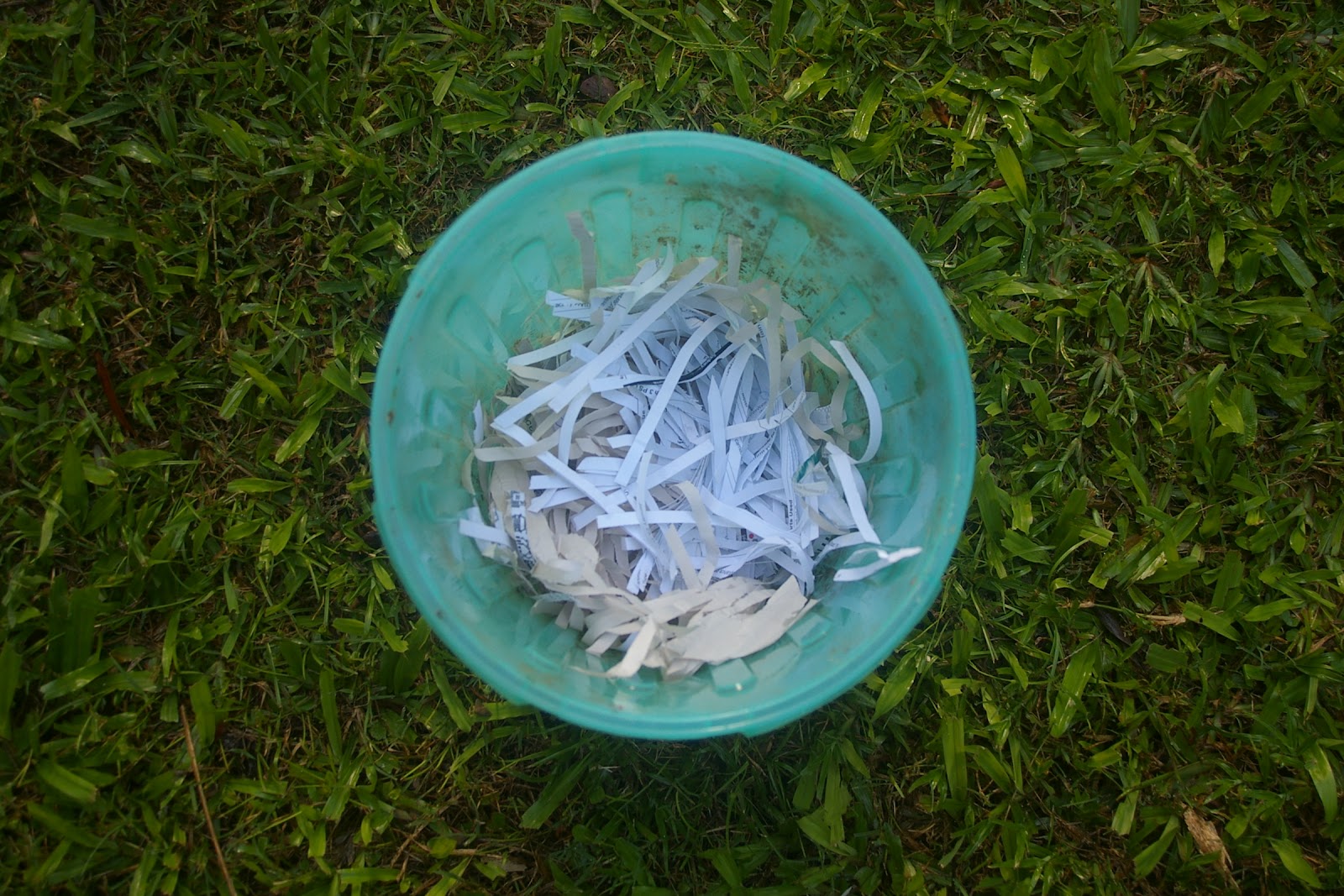 Compost and Chook bucket tip