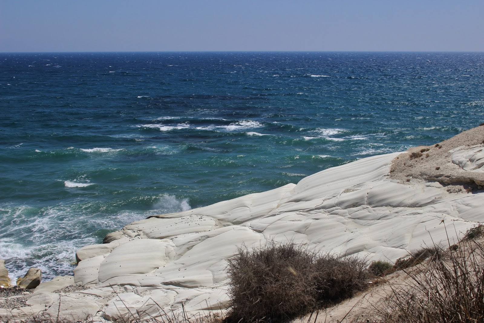 Biodiversity of Cyprus by NGO Protection of the Natural Heritage and ...