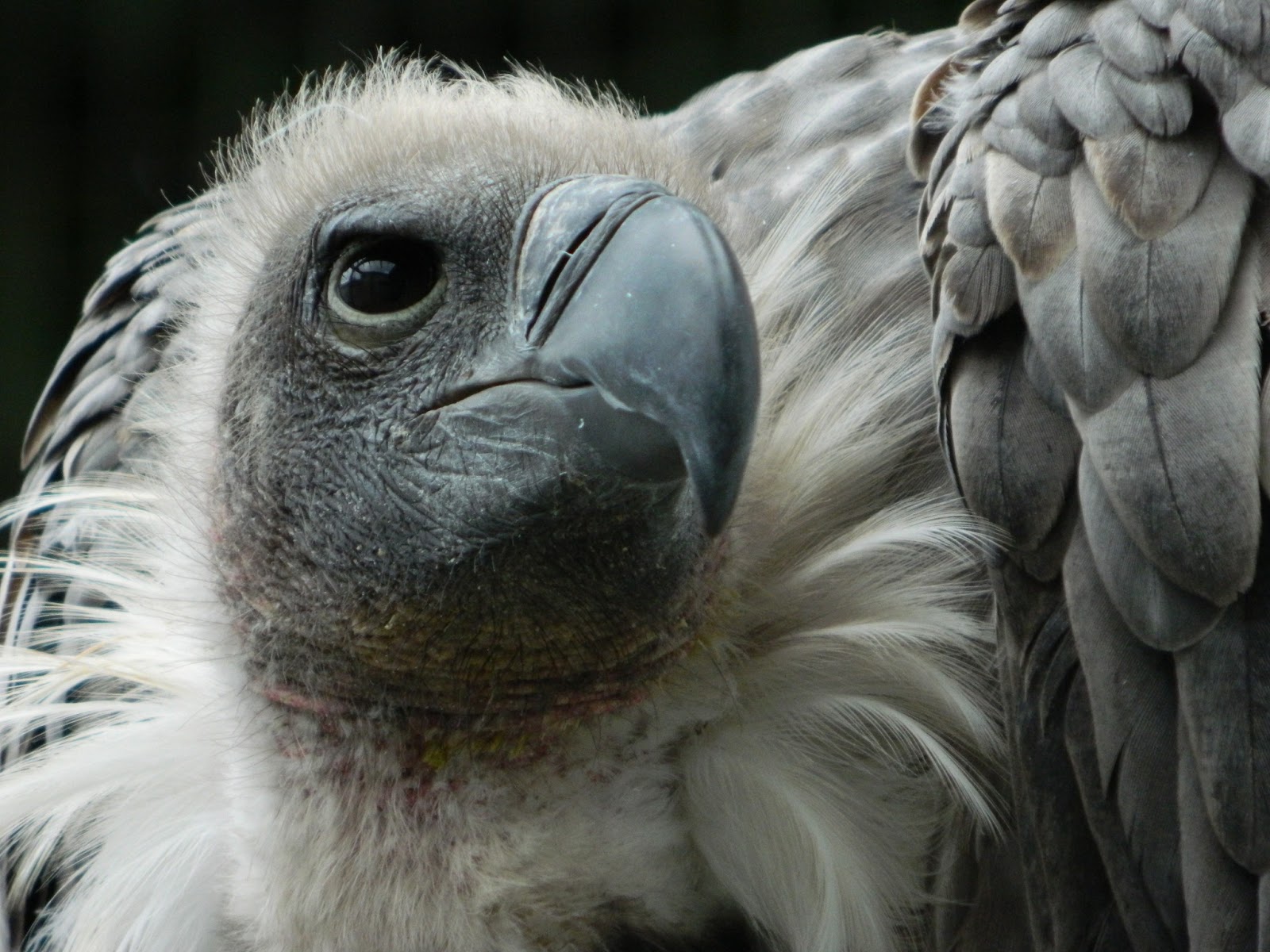 Aláine Ní Laoí Art & Photography