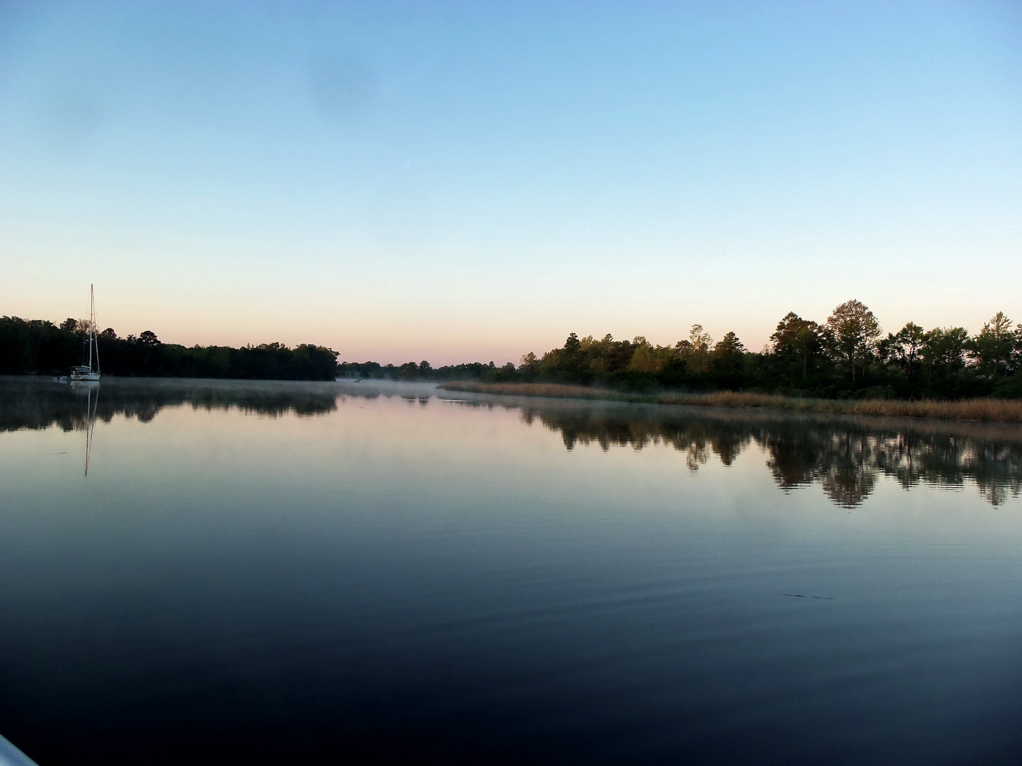 Tony M Trawler: The Tar Heel State