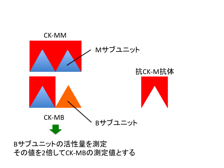 小児科学習帳: 小児におけるCK-MB測定の注意