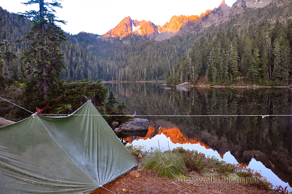 Walks with Moss: Mildred Lakes Overnighter