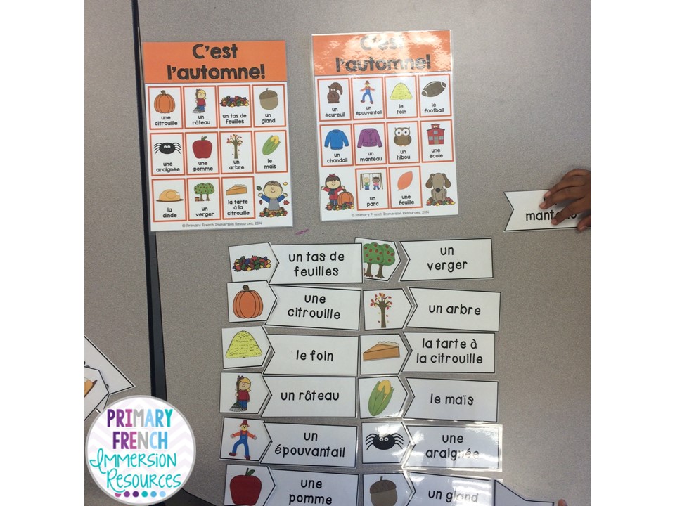 Centre ideas for FSL - Primary French Immersion Resources