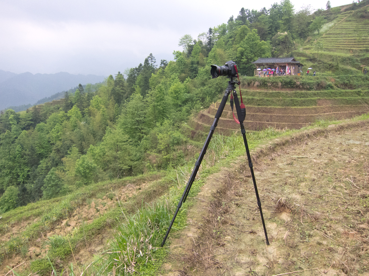 Dave-Sensei: China - Overview