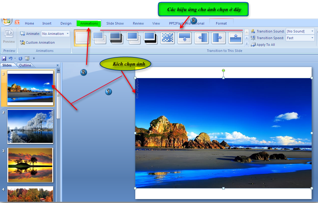 Tạo hiệu ứng cho ảnh và chữ trong slide ở Microsoft Office PowerPoint ...