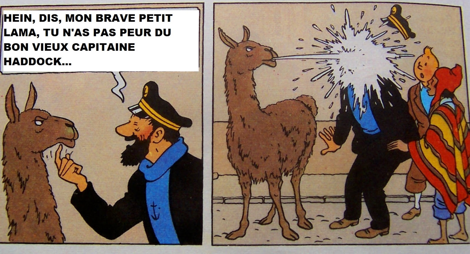 CAU ARTISTIC: HOMENAJE AL CAPITÁN HADDOCK, EL AMIGO MÁS FIEL DE TINTÍN ...