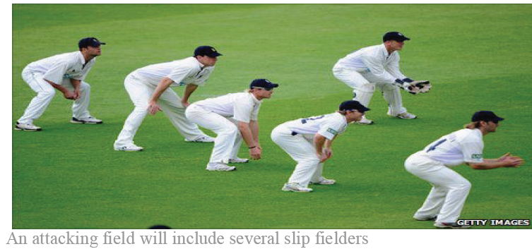 Cricket Tips and Tutorial - How to: How to set fielding