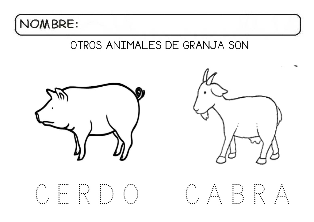 RECURSOS y ACTIVIDADES para Educación Infantil: Actividades ANIMALES de ...