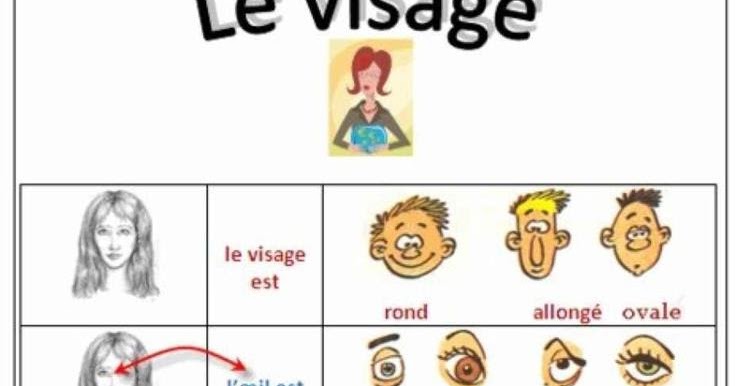 DOUCE FRANCE: Description physique 1.