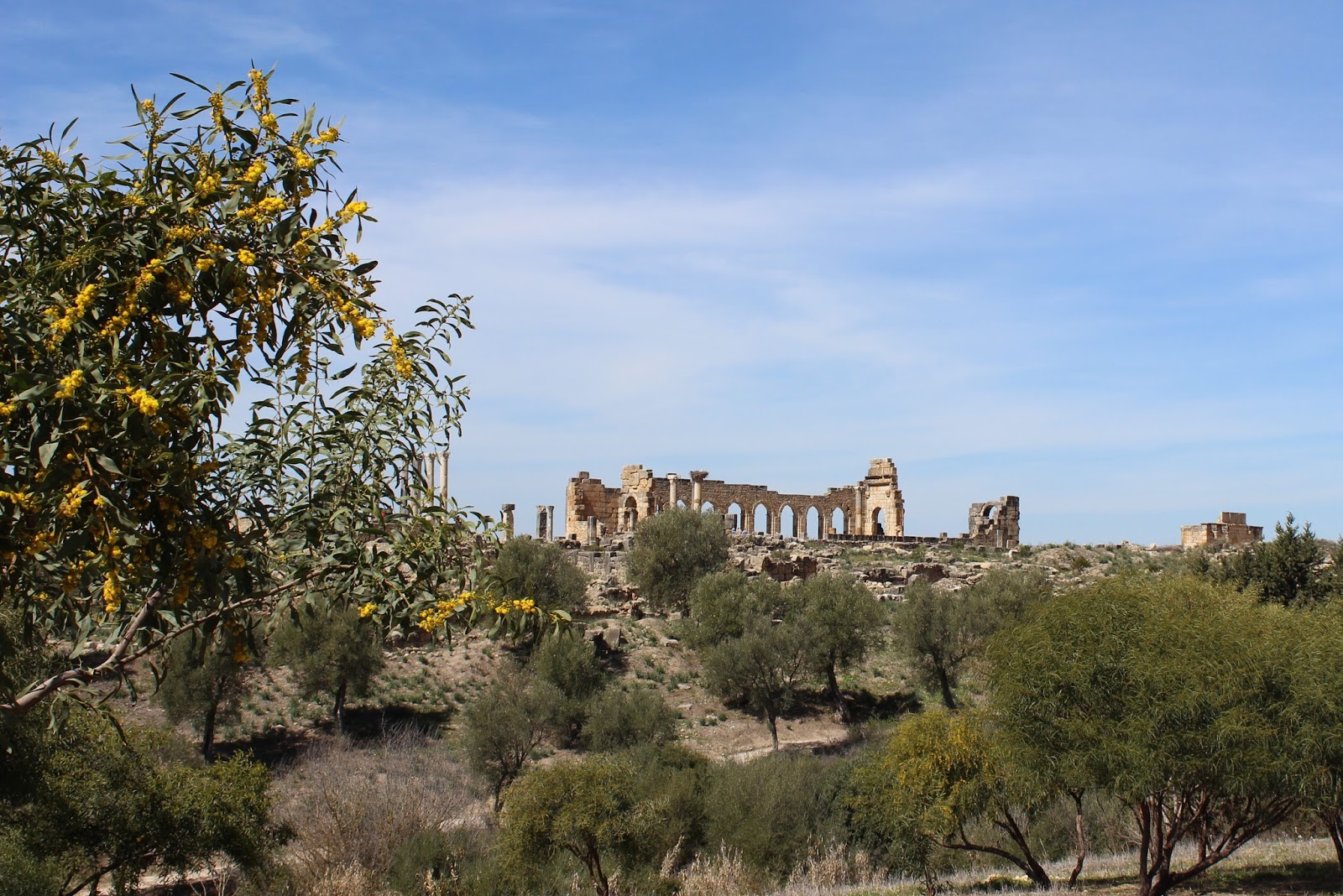 Souvenir Chronicles: VOLUBILIS, MOROCCO